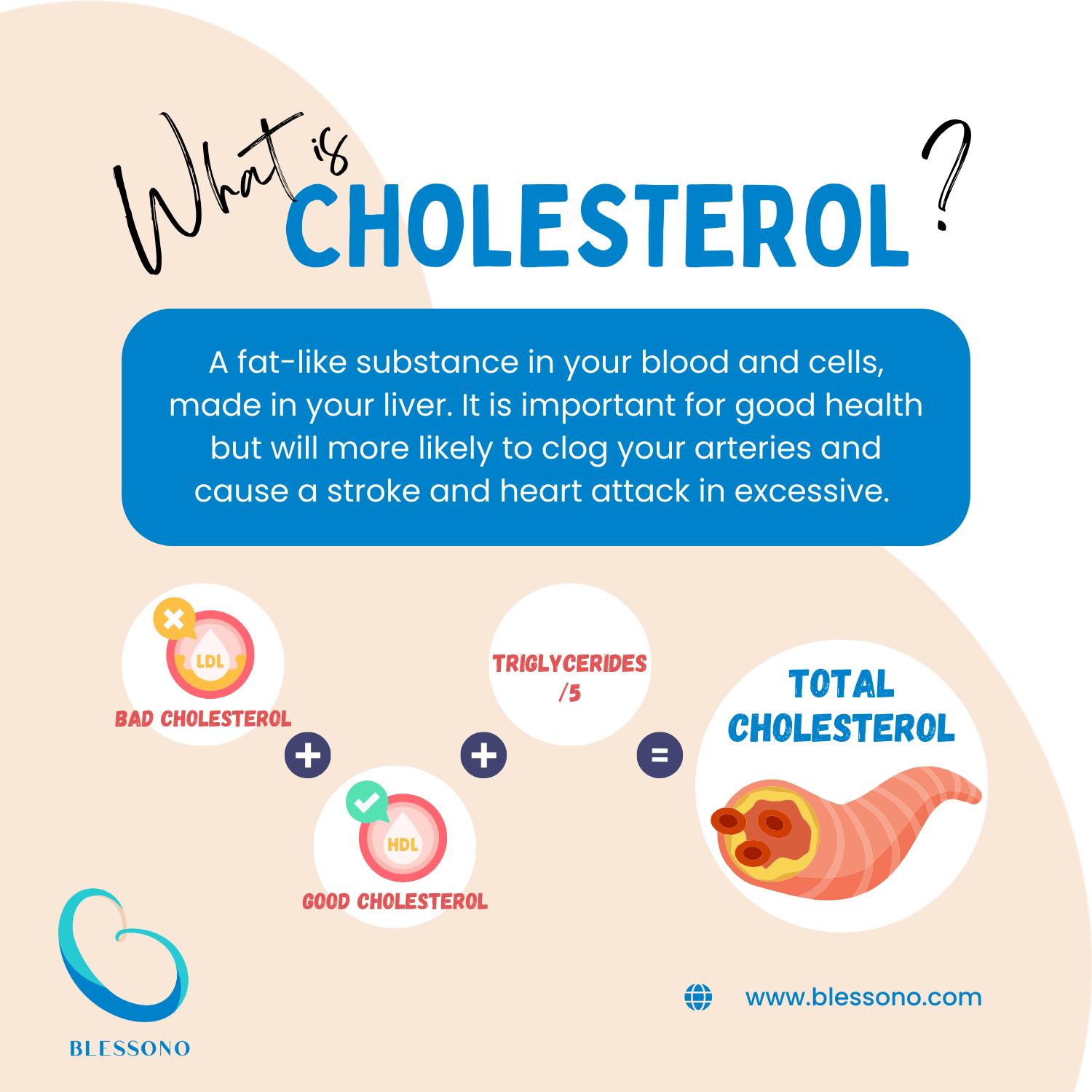 10 Must-Know Facts About Cholesterol